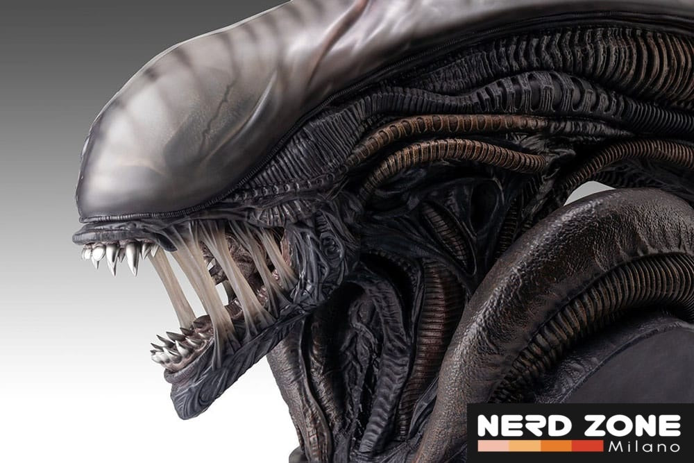 HOLLYWOOD COLLECTIBLES - Alien Romulus Bust 1/1 Xenomorph 53 cm – NERD ...